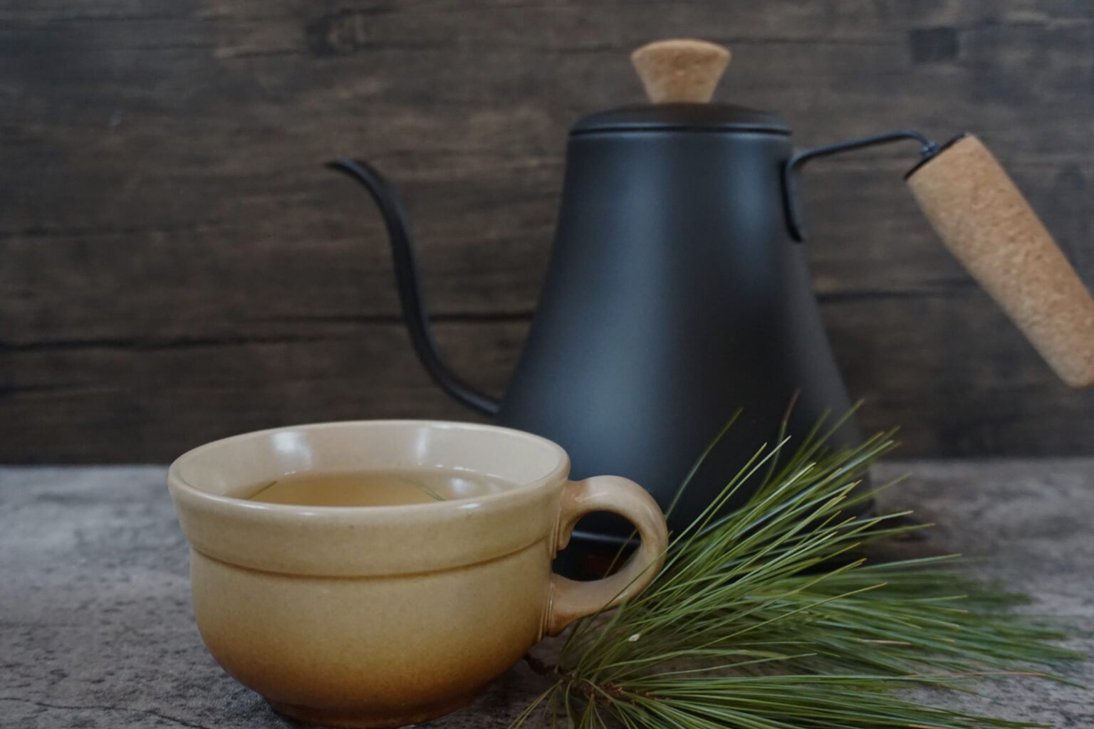 Easy Pine Needle Cough Syrup: Only 3 Ingredients - The Outdoor Apothecary