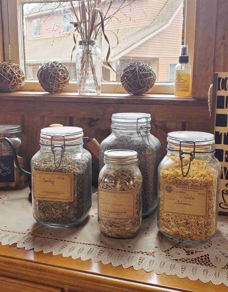 How To Create An Amazing Herbal First Aid Kit - The Outdoor Apothecary