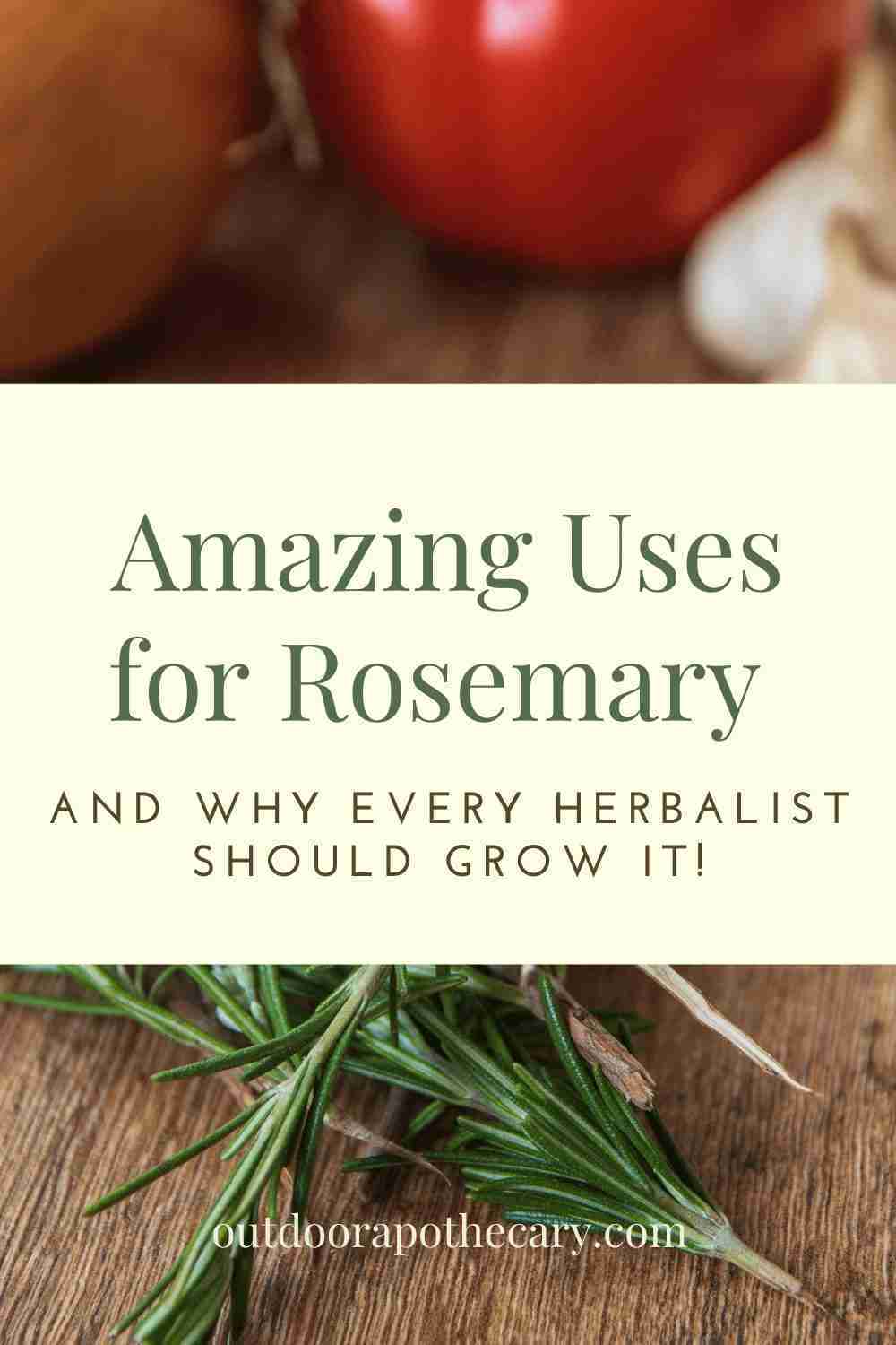Amazing Uses For Rosemary Herb And Why You Should Grow It! - The ...