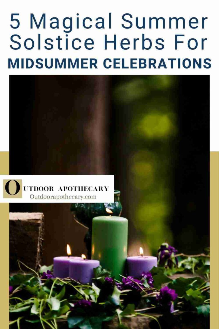 5 Magical Summer Solstice Herbs For Midsummer Celebrations - The ...