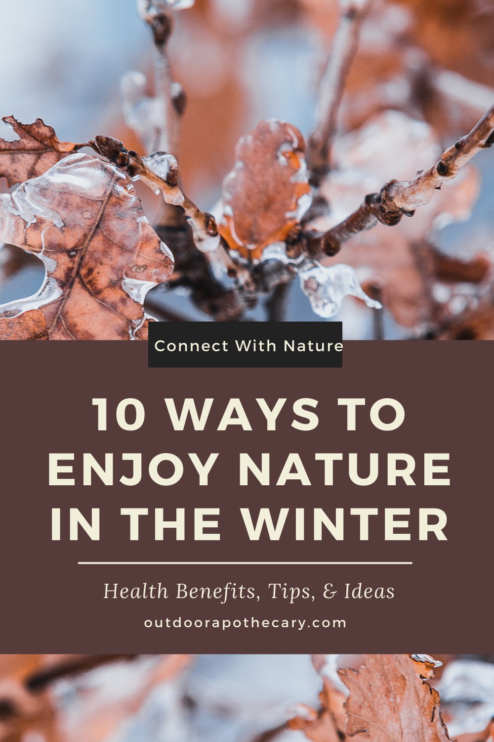 10 Easy Ways To Enjoy Nature In The Winter - The Outdoor Apothecary