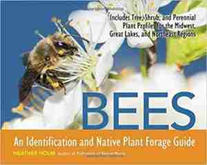 28+ Best Field Guides & Plant Identification Books - The Outdoor Apothecary