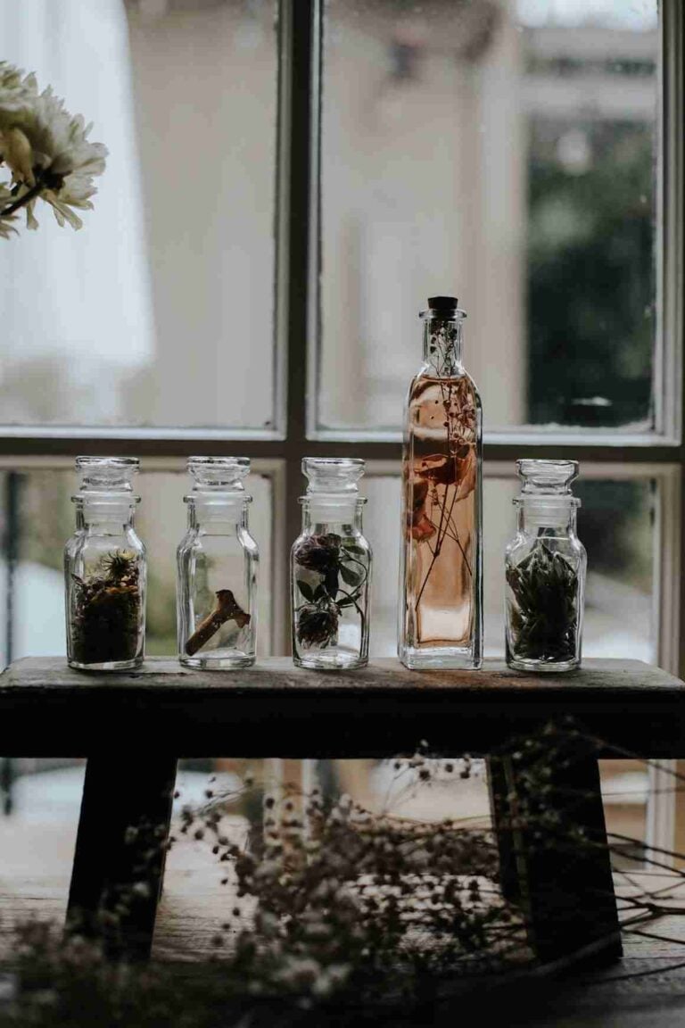 Bioregional Herbalism And 8 Effective Ways To Practice - The Outdoor ...