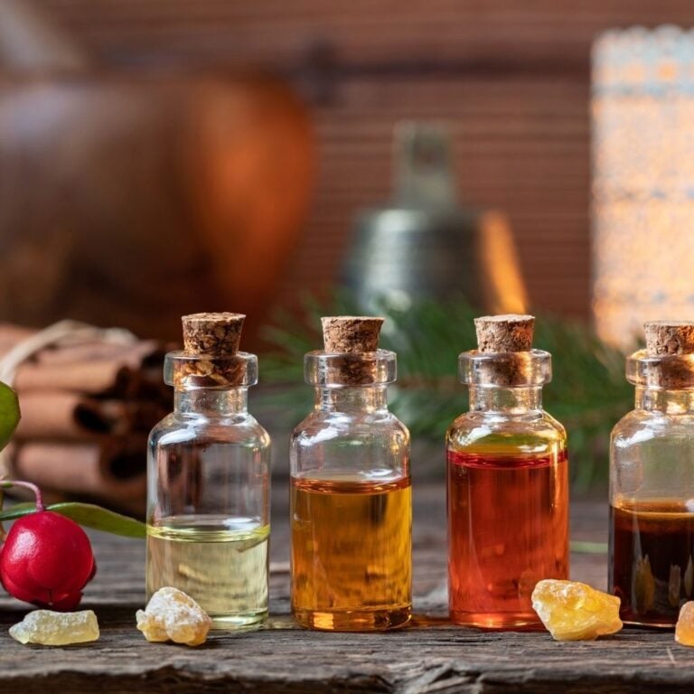 What Is An Elixir? Plus 3 Easy Recipes - The Outdoor Apothecary