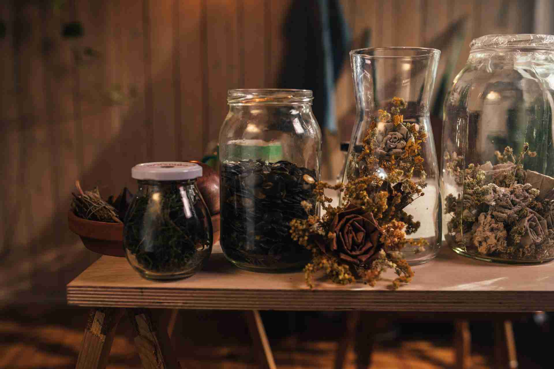 Mastering Herbal Wisdom And Natural Healing! - The Outdoor Apothecary