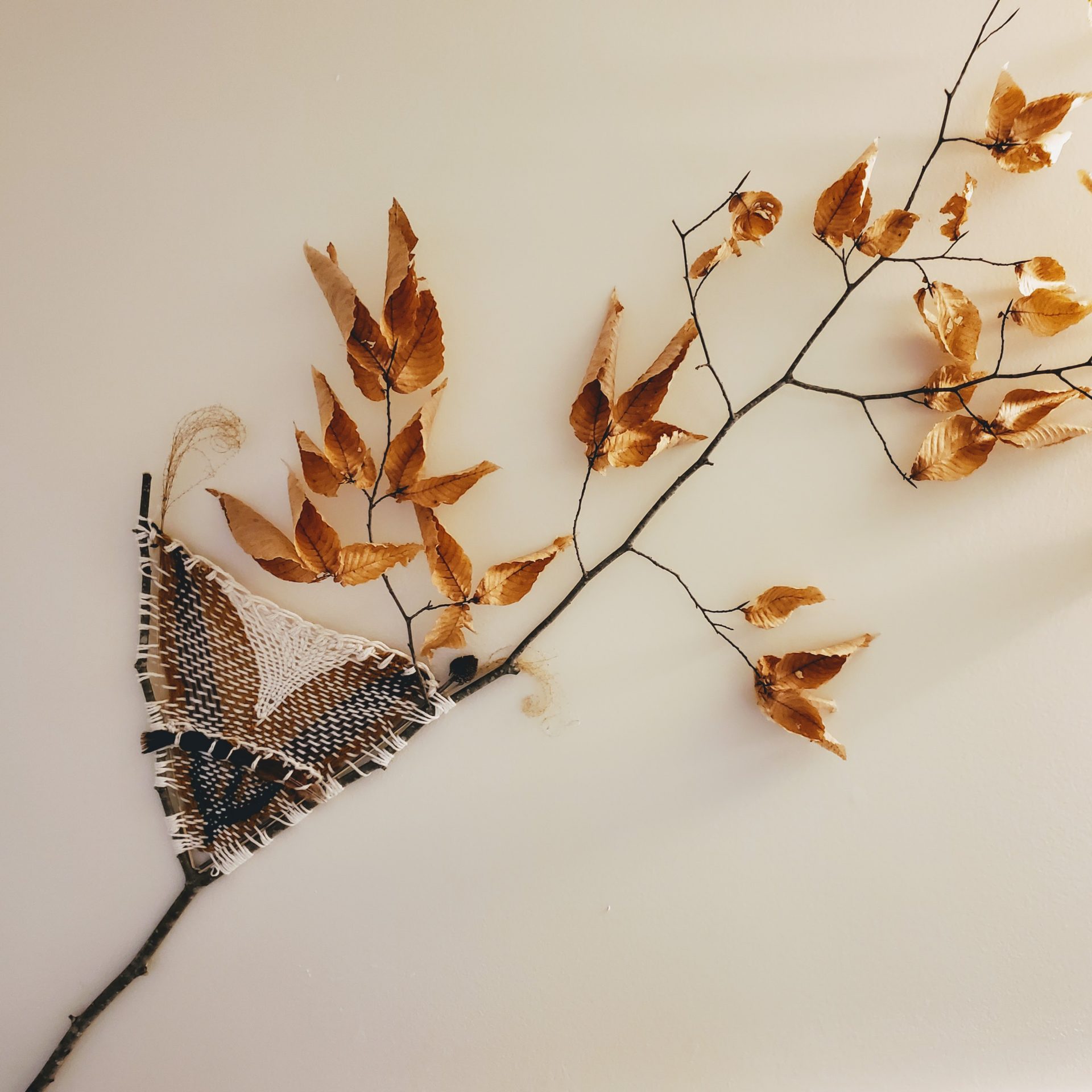 Branch Weaving: Create A Unique & Whimsical Nature Craft In A Weekend ...