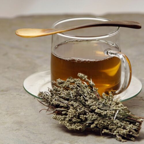 The Magic Of Mugwort, The Mother Of Herbs - The Outdoor Apothecary