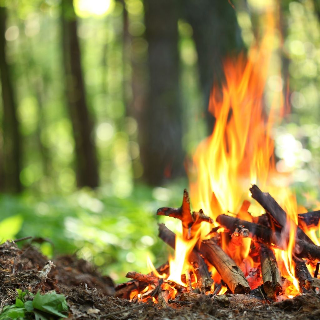 Bannocks Recipe - A Magical Beltane Breakfast Treat - The Outdoor ...