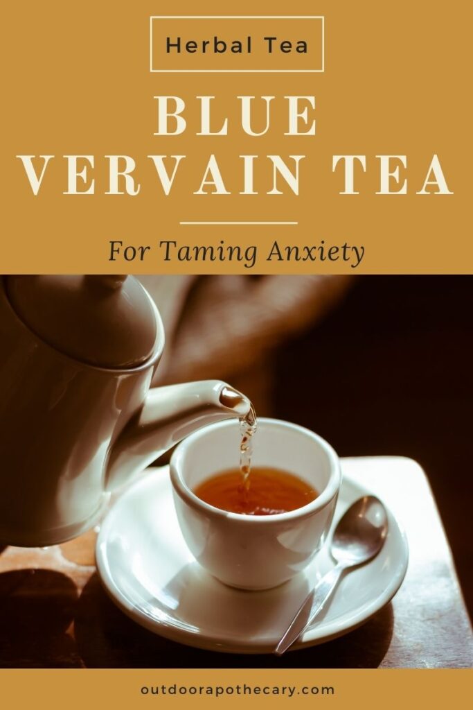How To Use Blue Vervain Tea For Calmness - The Outdoor Apothecary