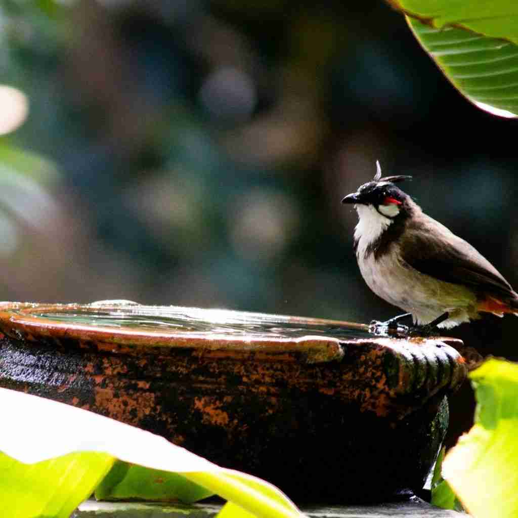 41 Amazing Earth Day Activities Your Family Will Love - The Outdoor ...