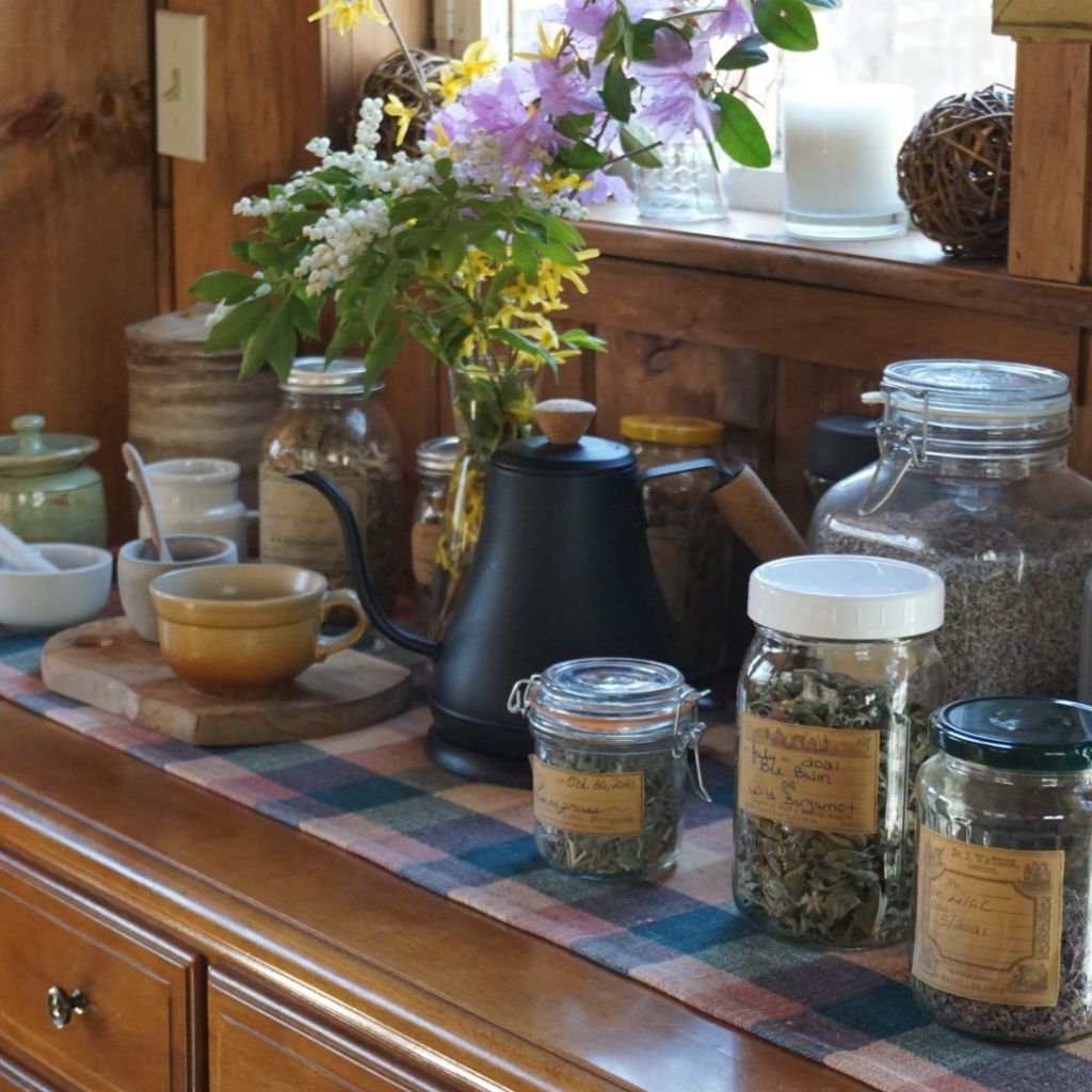 What Is An Elixir? Plus 3 Easy Recipes - The Outdoor Apothecary