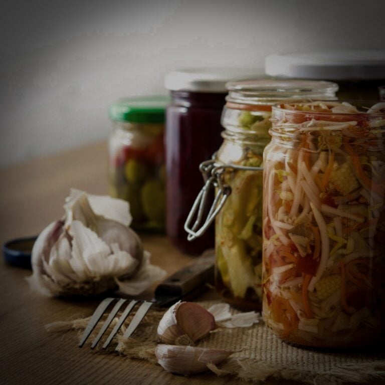 28+ Best Field Guides & Plant Identification Books - The Outdoor Apothecary