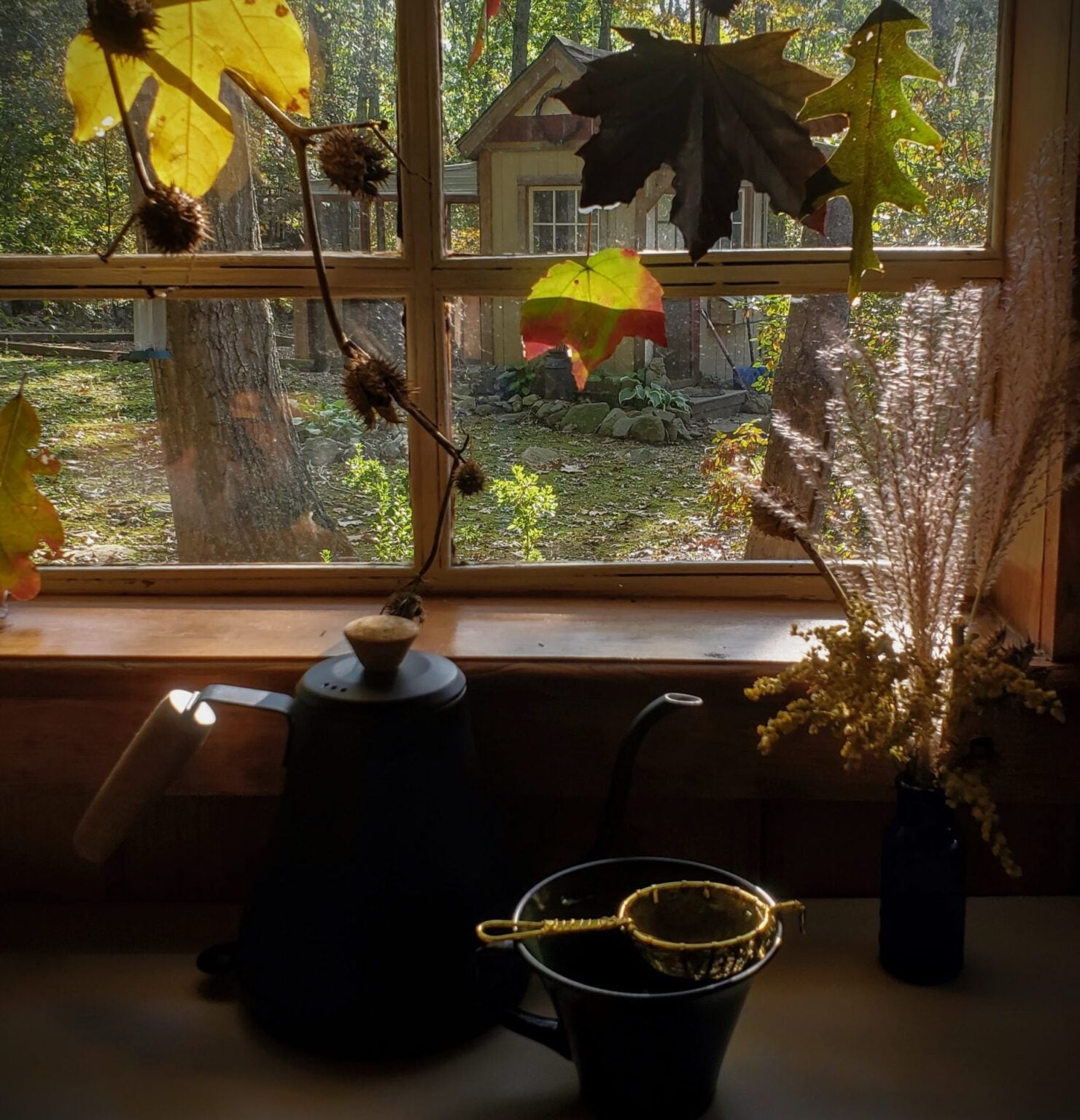10 Sacred Ways To Celebrate The Season Of Autumn - The Outdoor Apothecary