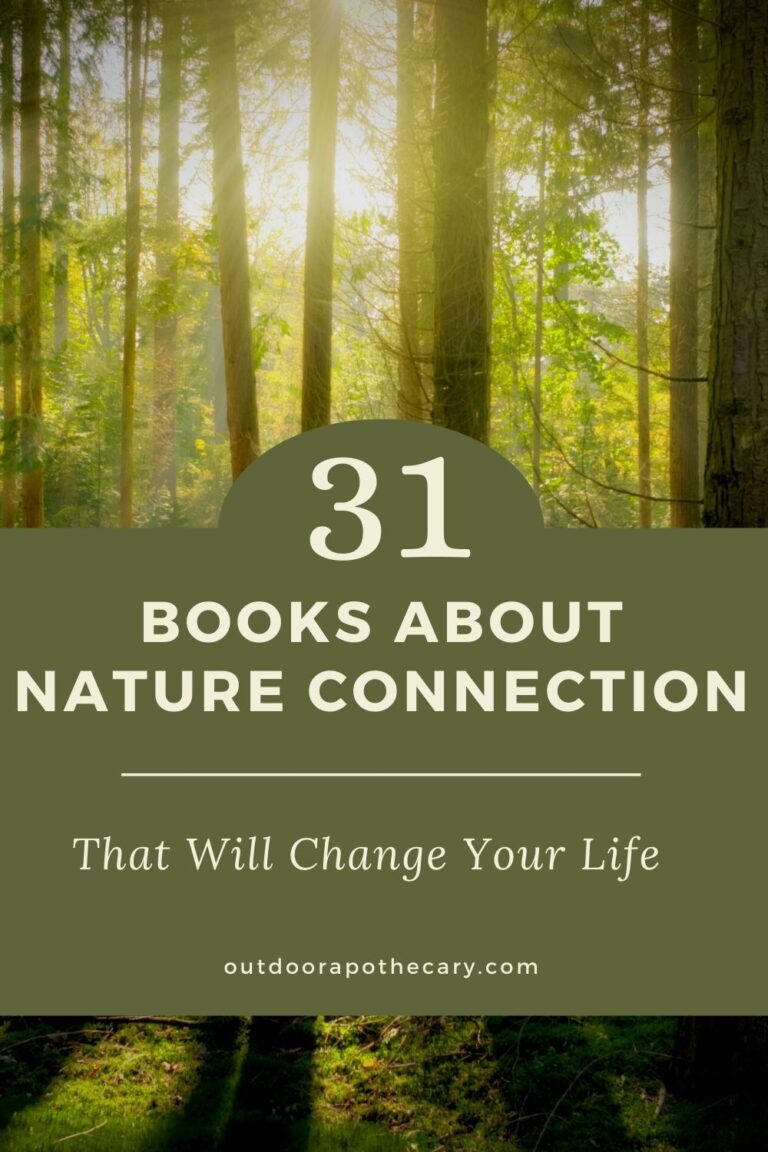 31 Inspiring Books About Nature Connection That Will Change Your Life ...