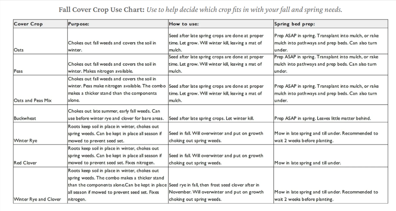5 Best Garden Cover Crops For Fall - The Outdoor Apothecary