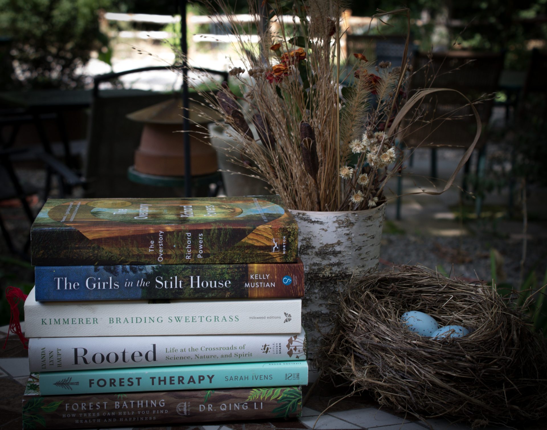 31 Inspiring Books About Nature Connection That Will Change Your Life ...