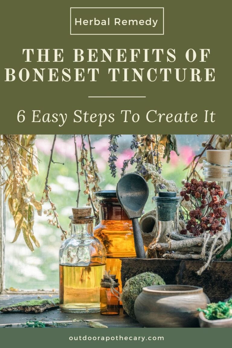 The Benefits Of Boneset Tincture & 6 Easy Steps To Create It - The ...