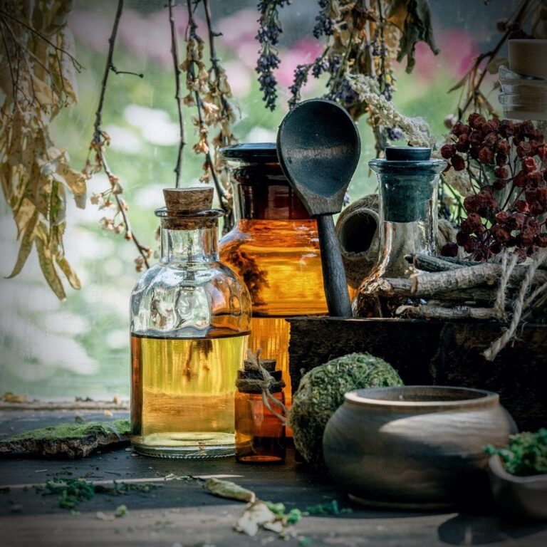 4 Easy Winter Foraging Finds (and How To Use Them) - The Outdoor Apothecary