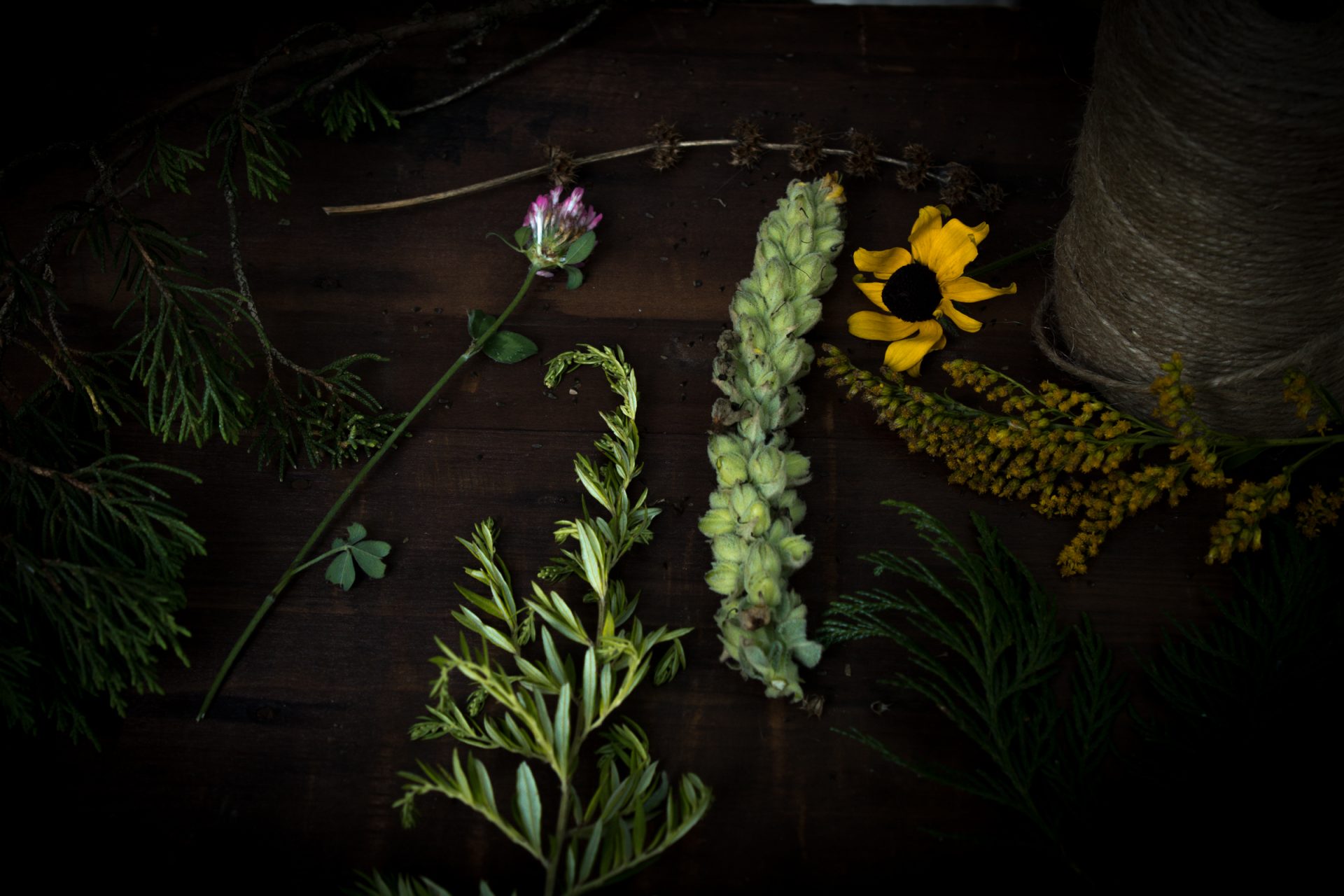 Make Your Own Herbal Incense Bundles In 6 Easy Steps - The Outdoor ...