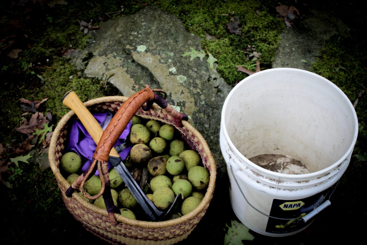 11 Powerful Ways To Connect With Your Ancestral Lineage - The Outdoor ...