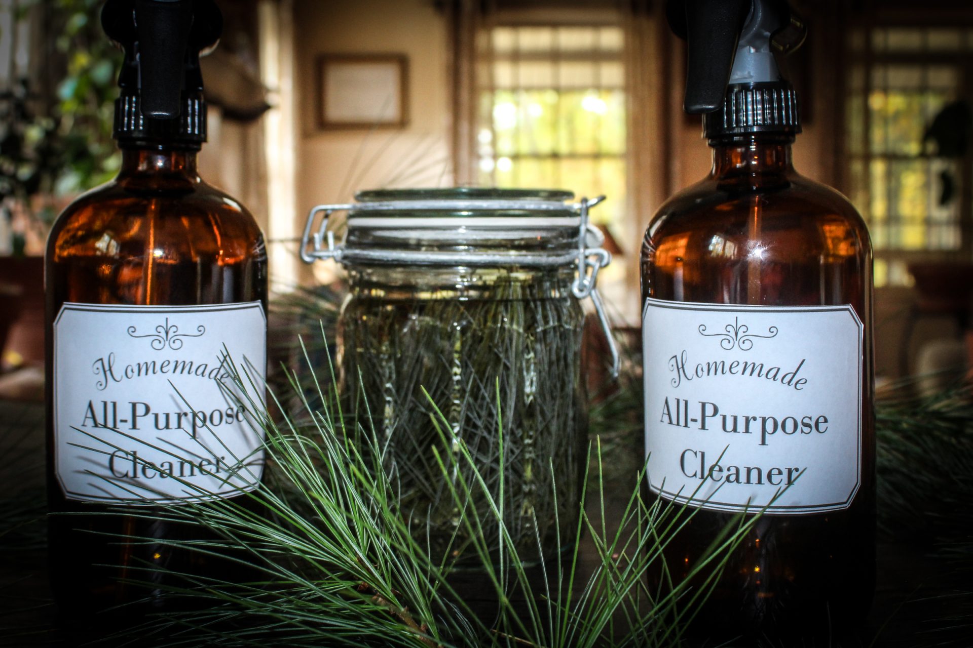 DIY All Natural Pine Cleaning Spray - The Outdoor Apothecary