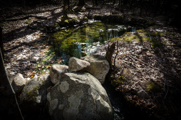 Sit Spot: A Sacred Place To Observe The Rhythms Of Nature - The Outdoor ...
