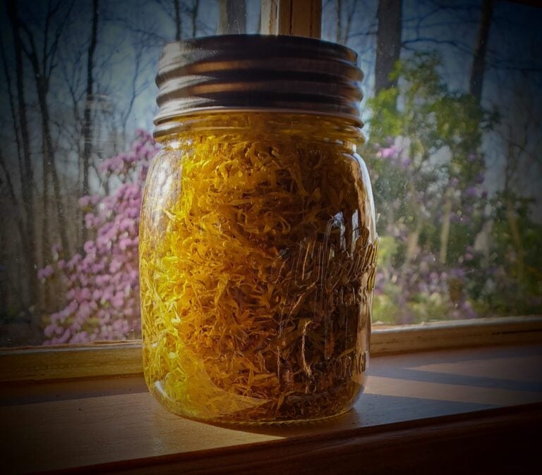 How To Make Homemade Calendula Cream: An Easy Step-by-Step Guide - The ...