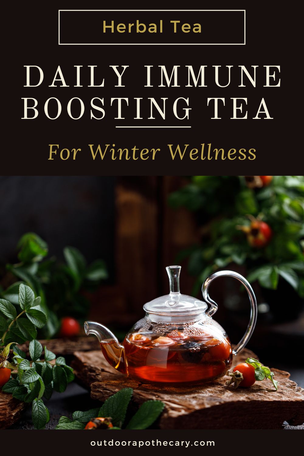 Brew This Amazing Immune Boosting Tea For Winter Wellness - The Outdoor ...
