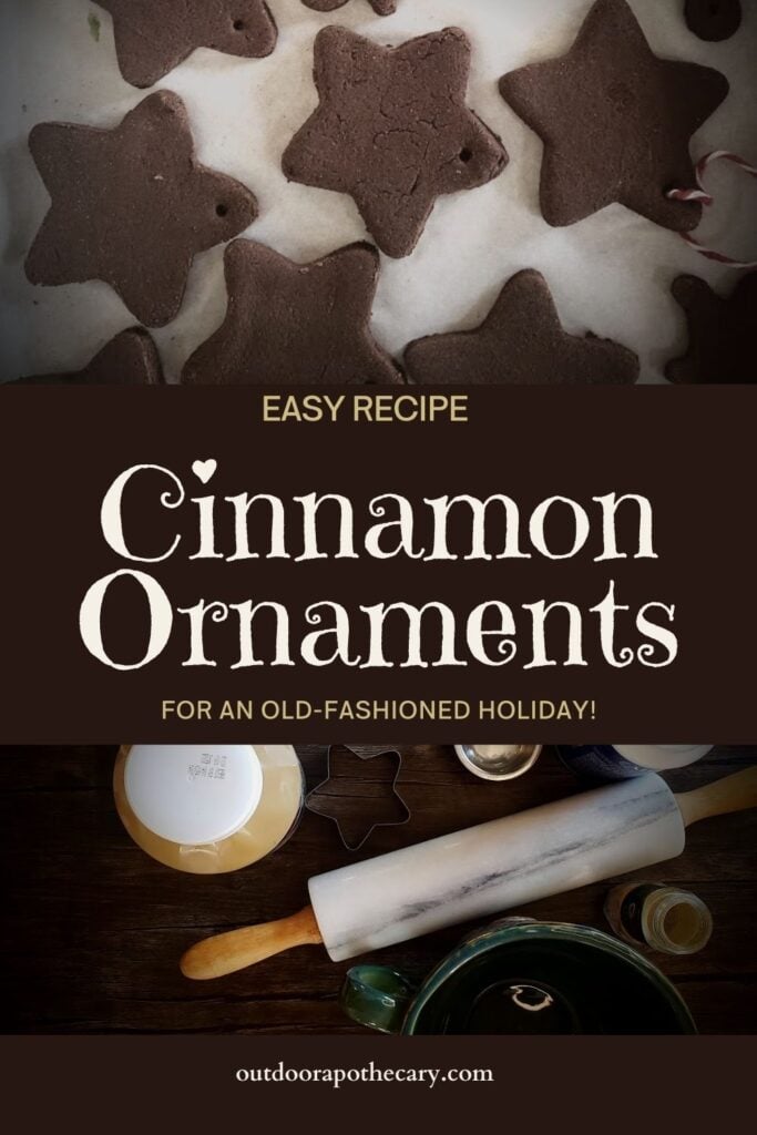 Recipe For Cinnamon Ornaments: The Perfect Addition To An Old-Fashioned ...