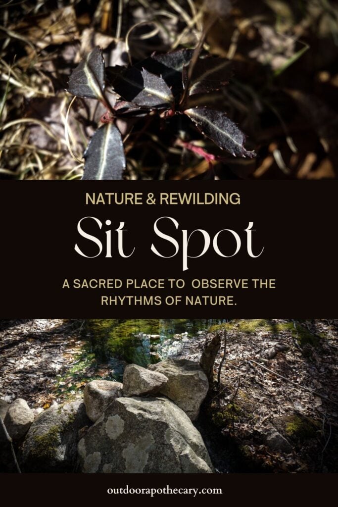 Sit Spot: A Sacred Place To Observe The Rhythms Of Nature - The Outdoor ...