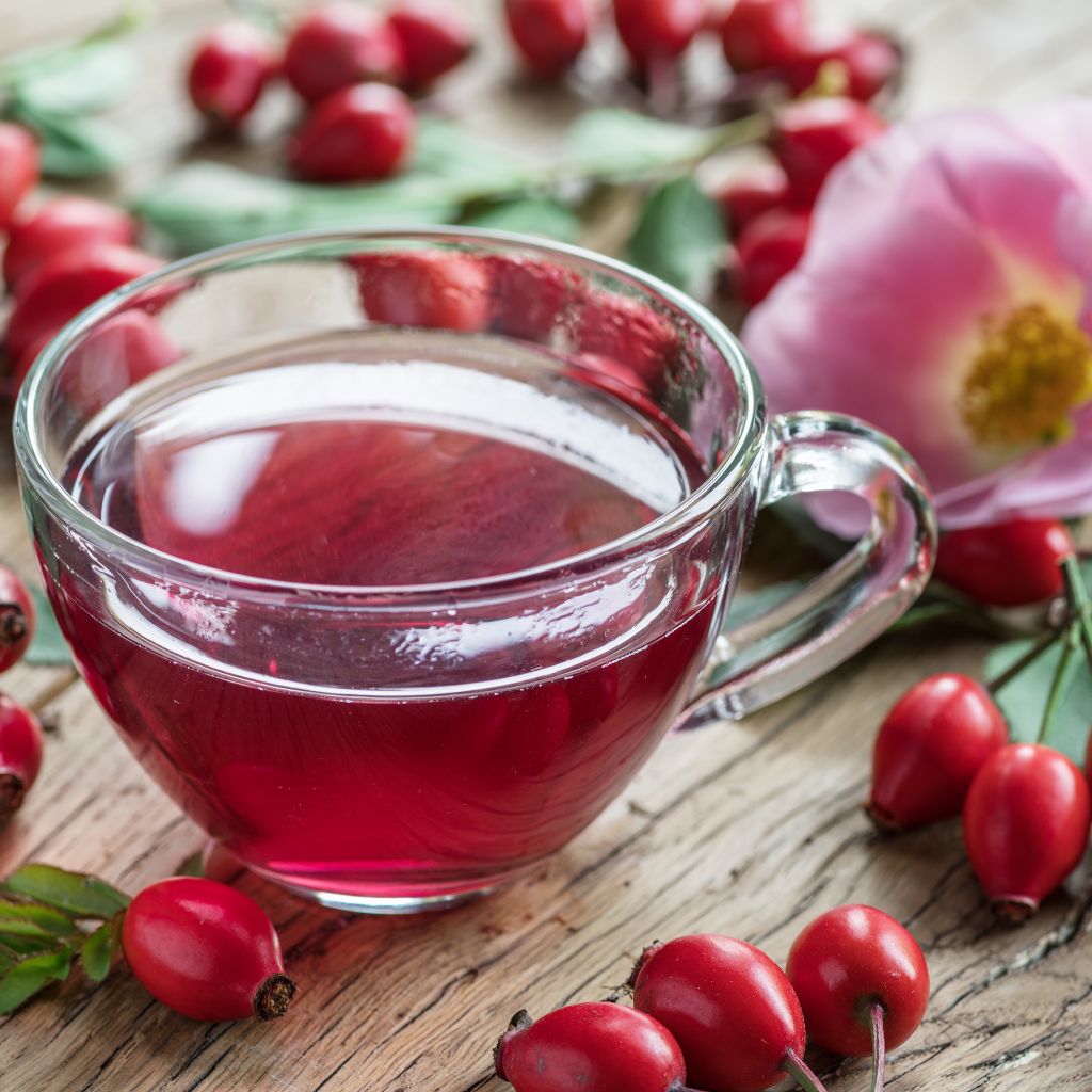 Uses For Rose Hips: Nature's Seasonal Offerings + 4 Easy Recipes - The ...
