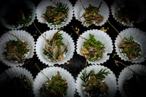 DIY Fire Starters: Charming Homemade Gifts & Printable Tags - The ...