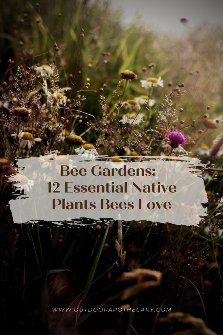 Bee Gardens: 12 Essential Native Plants Bees Love - The Outdoor Apothecary