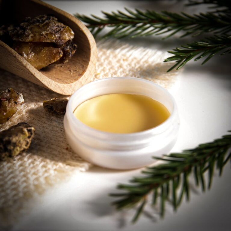 Wild Foraged Pine Resin Salve: A Healing Earth Medicine - The Outdoor ...