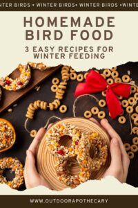 Homemade Bird Food: 3 Fun Recipes To Keep Backyard Birds Happy - The ...