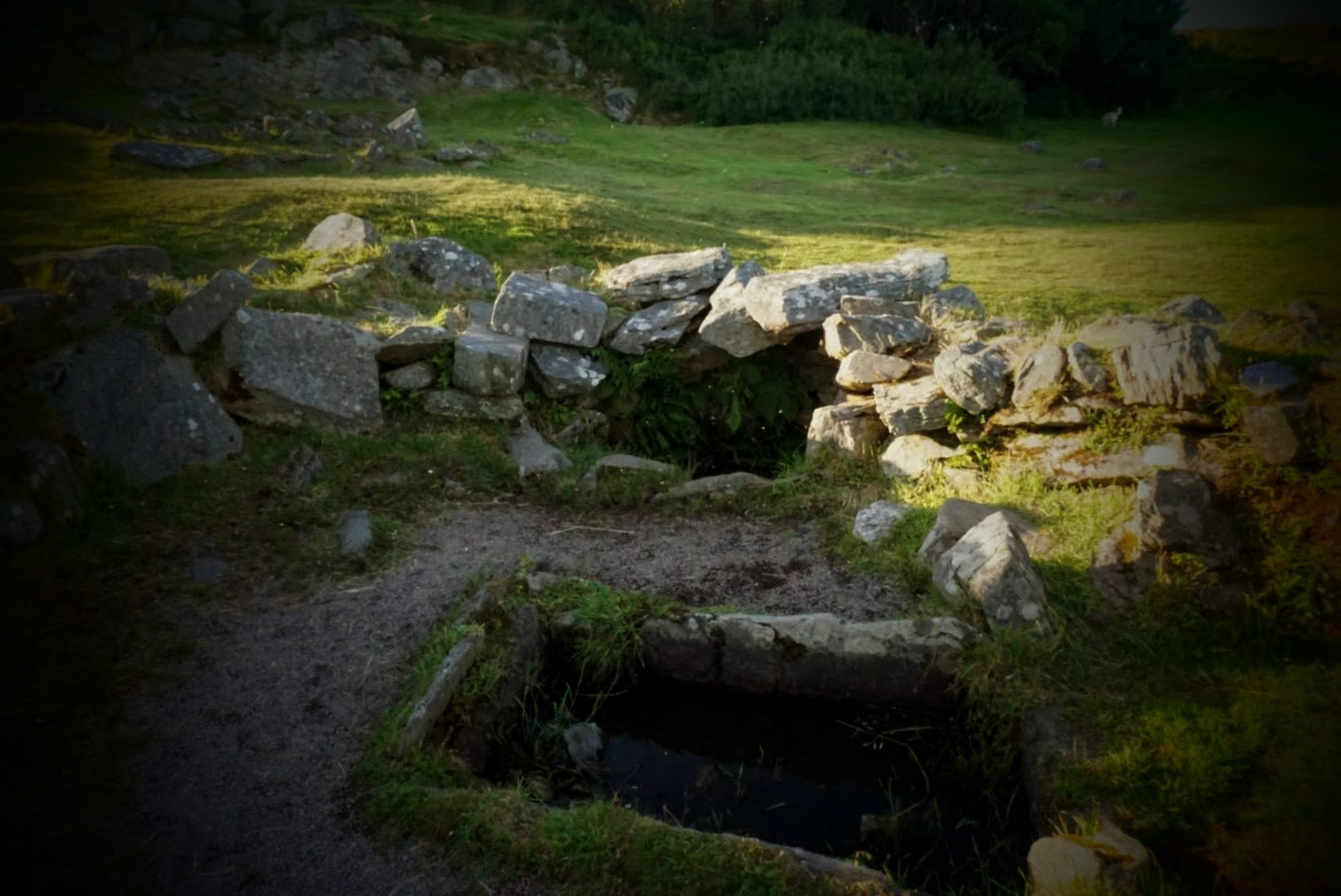 11 Powerful Ways To Connect With Your Ancestral Lineage - The Outdoor ...