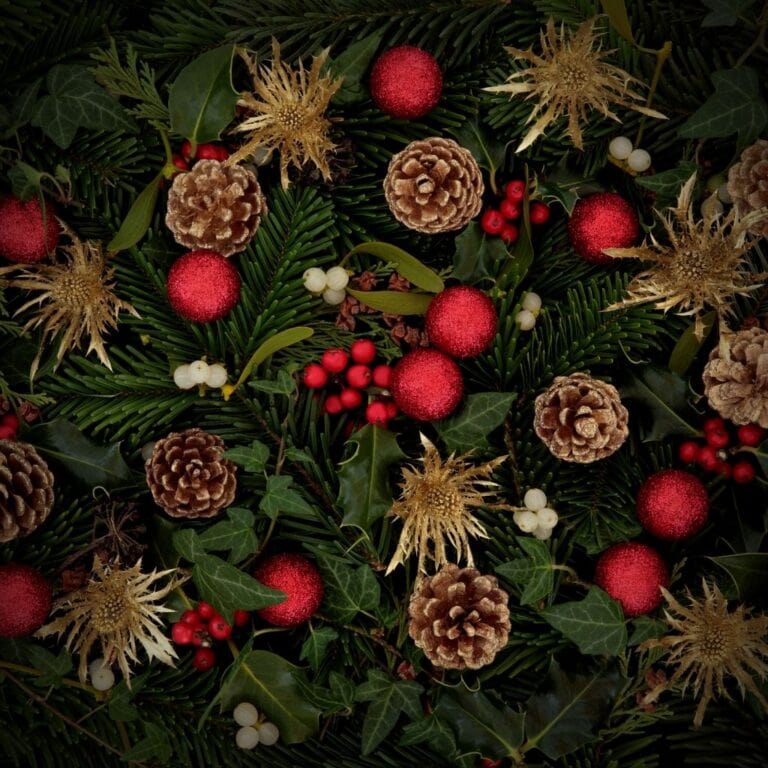 Celebrating The Winter Solstice: Traditions & Joy - The Outdoor Apothecary