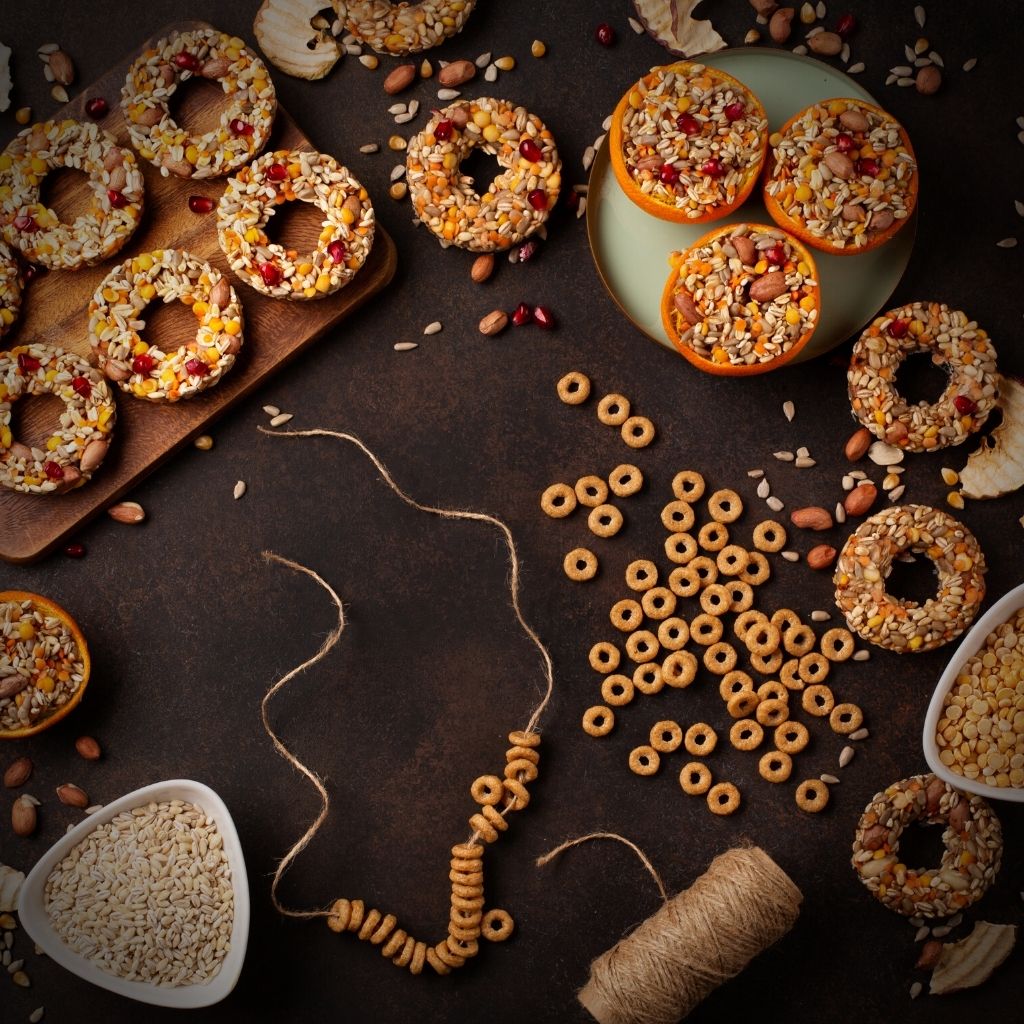 Homemade Bird Food: 3 Fun Recipes To Keep Backyard Birds Happy - The ...