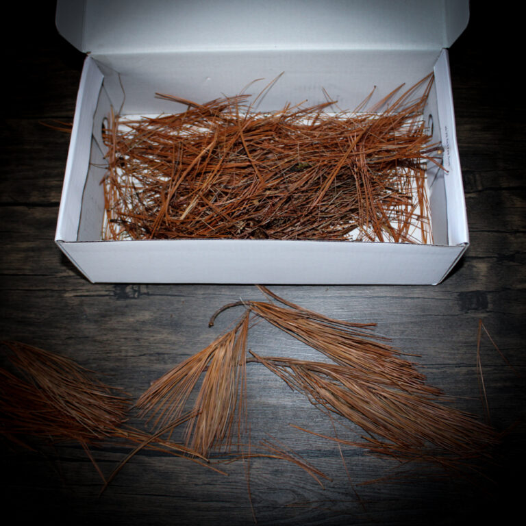 Crafting A Pine Needle Basket: An Easy Step-by-Step Guide - The Outdoor ...