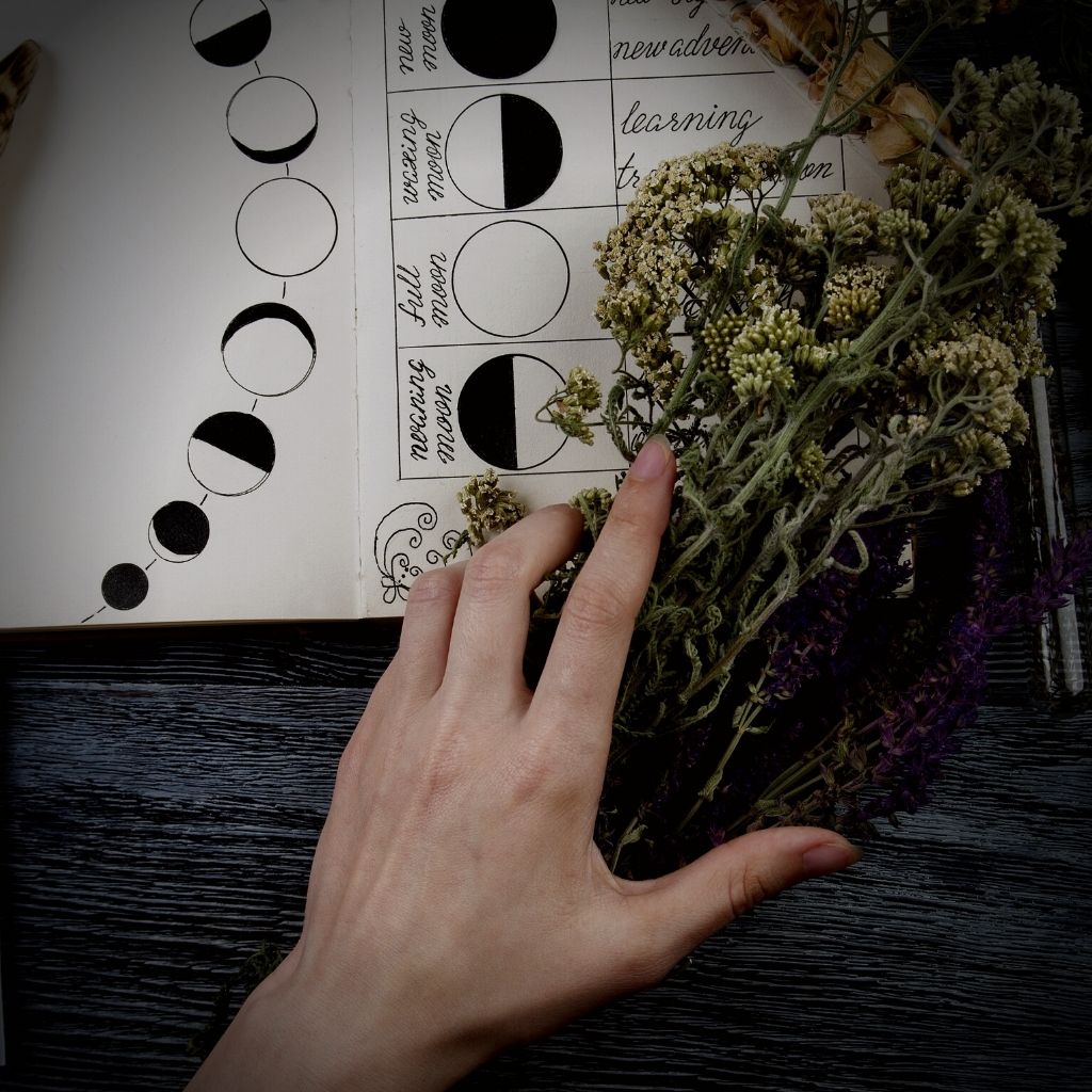 November's Full Moon: The Traditions, Magic, And Significance Of A ...