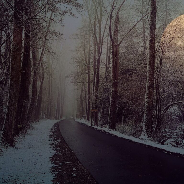 Exploring February's Full Moon: A Night Under A Glowing Snow Moon - The ...