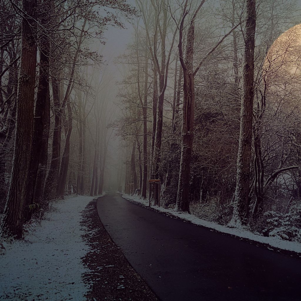 Exploring February's Full Moon: A Night Under A Glowing Snow Moon - The ...