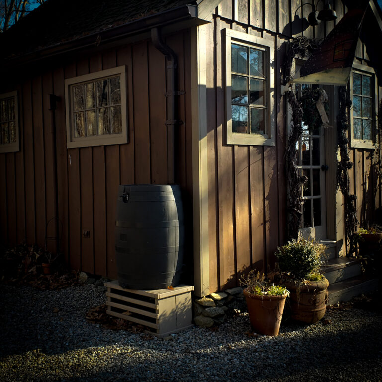 6 Easy Steps To Setting Up A Rain Barrel Rainwater Collection System ...