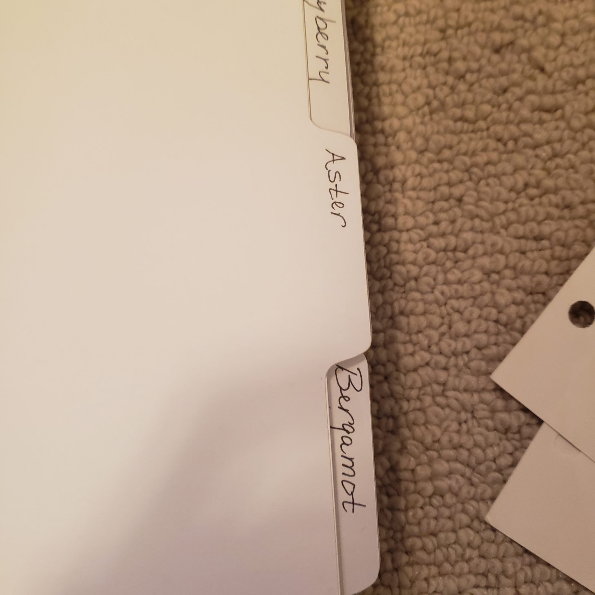 Make Your Own Herbarium The Easy Way - The Outdoor Apothecary