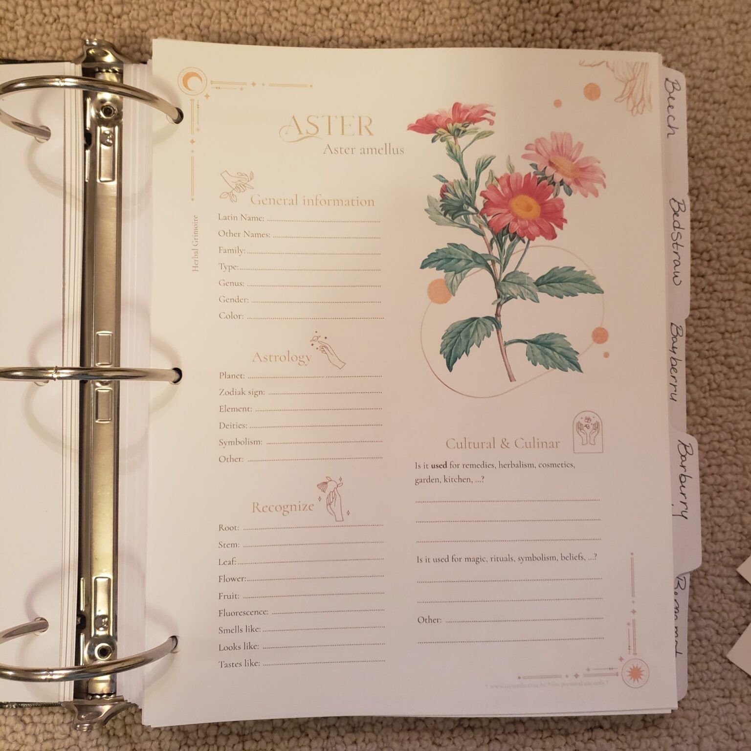 Make Your Own Herbarium The Easy Way - The Outdoor Apothecary