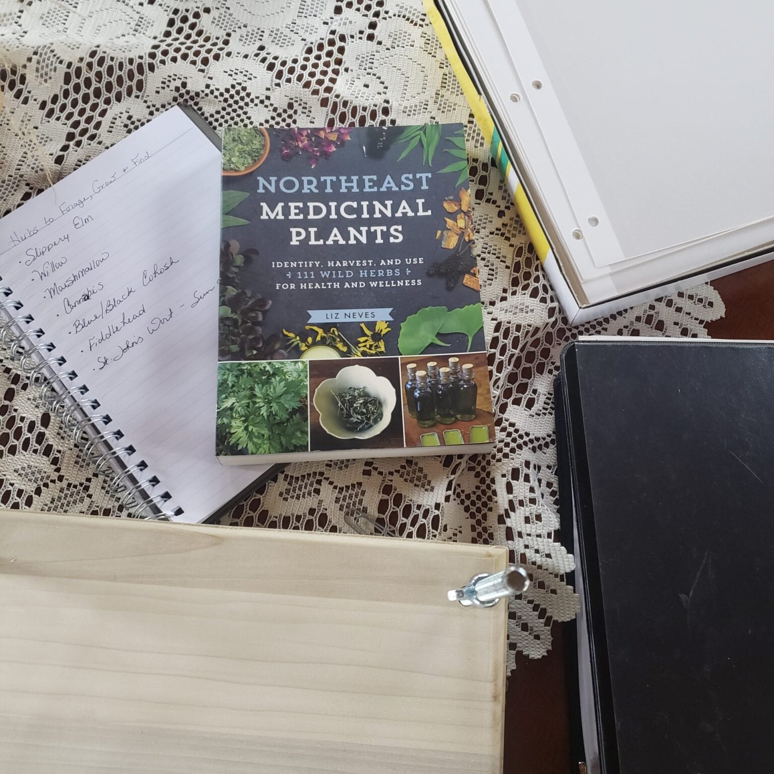 Make Your Own Herbarium The Easy Way - The Outdoor Apothecary