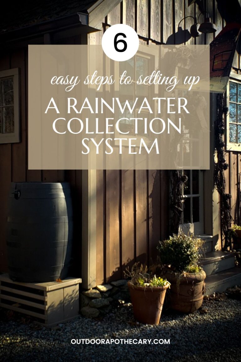 6 Easy Steps To Setting Up A Rain Barrel Rainwater Collection System ...