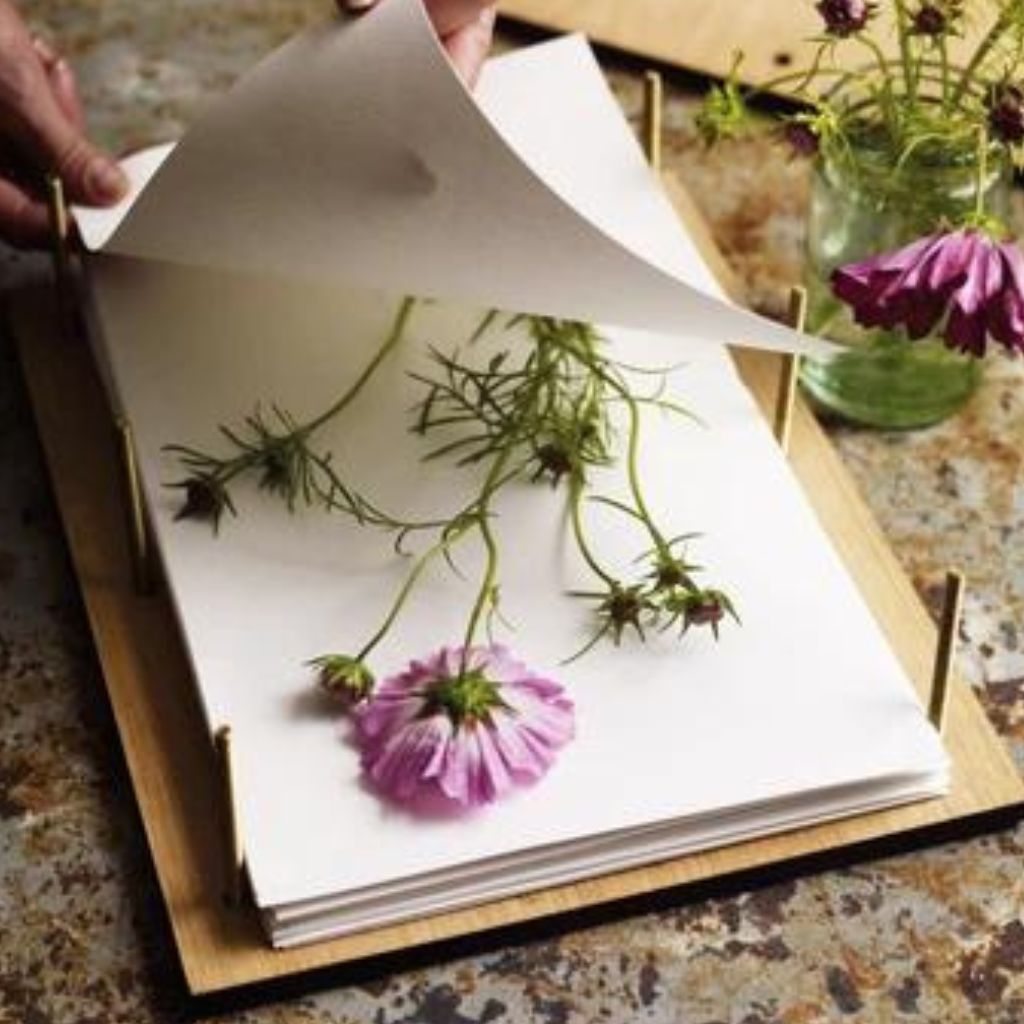 Make Your Own Flower Press In 4 Easy Steps - The Outdoor Apothecary