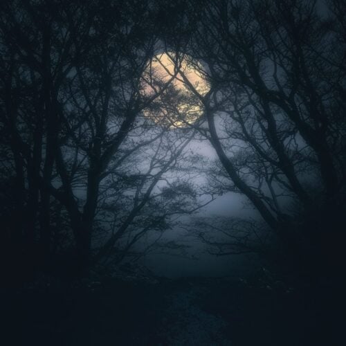December's Full Moon: The Significance, Symbolism, And Folklore Of The ...