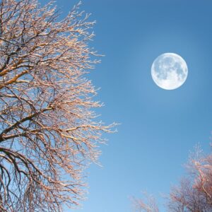 March's Full Moon: Celebrating A Full Worm Moon - The Outdoor Apothecary